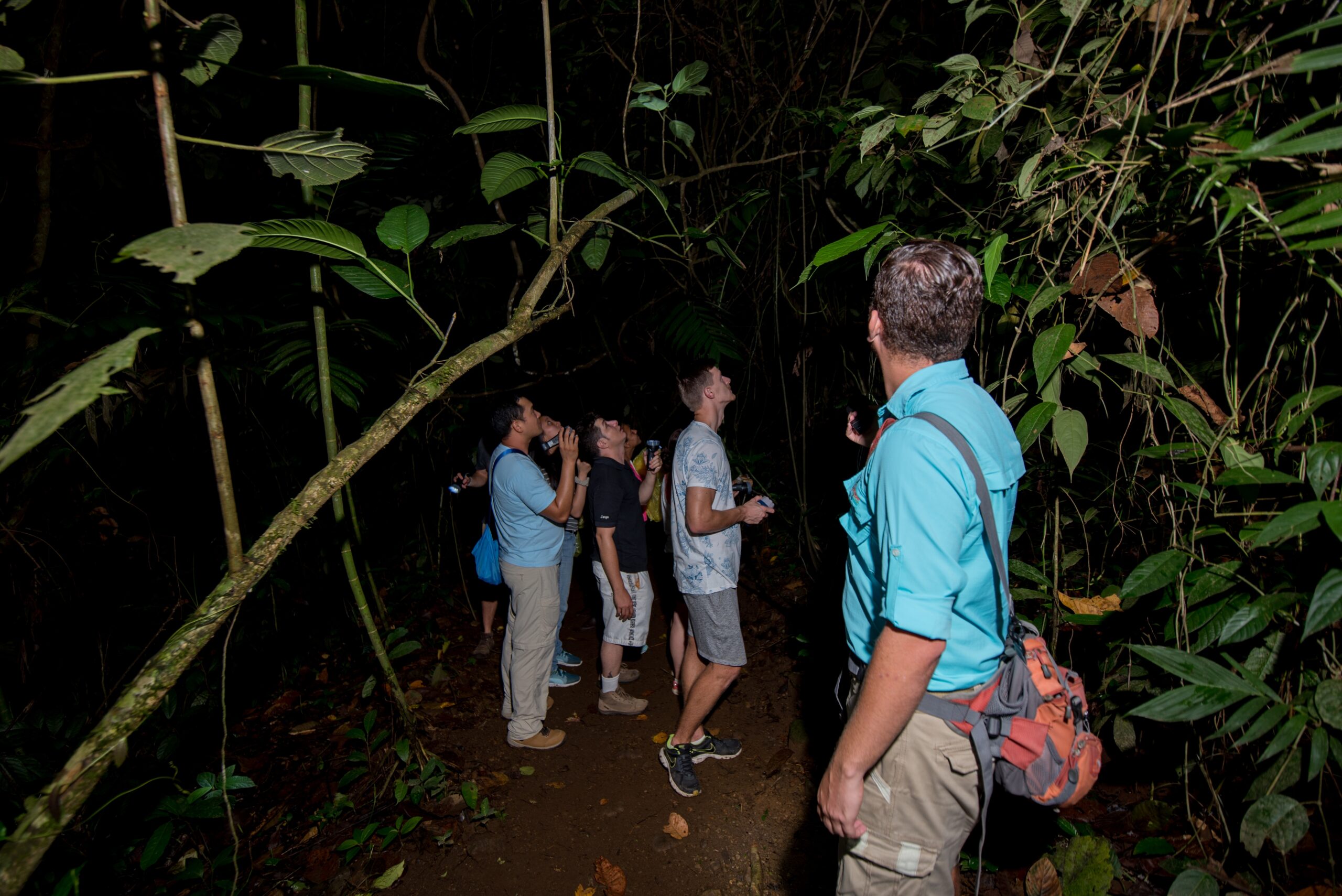Rain Forest Night Walk & Costa Rican Snack - Acutus Travel
